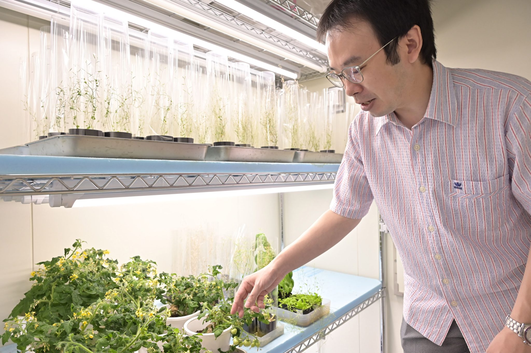 自由な発想・緻密な理論・否定しない態度〜恩師の教えを胸に世界の食料問題に挑む 千葉大学 大学院園芸学研究院 准教授 島田 貴士 Takashi ...