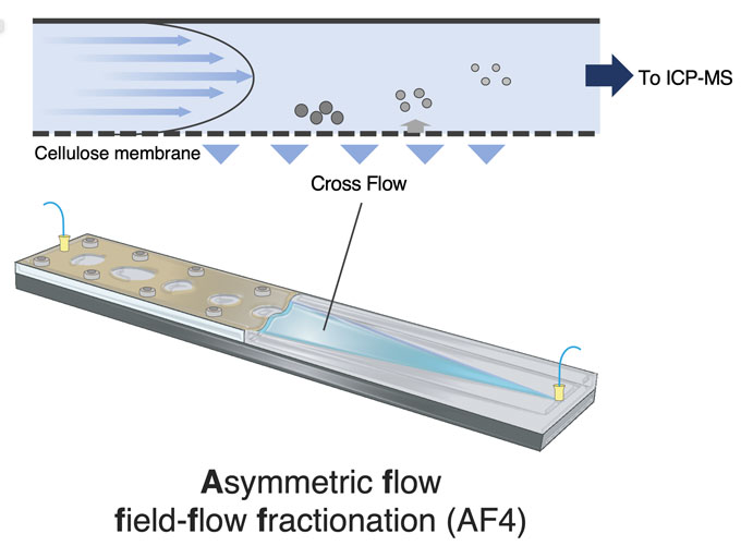 Investigating Cell Killers: Advanced System for Size-Dependent ...