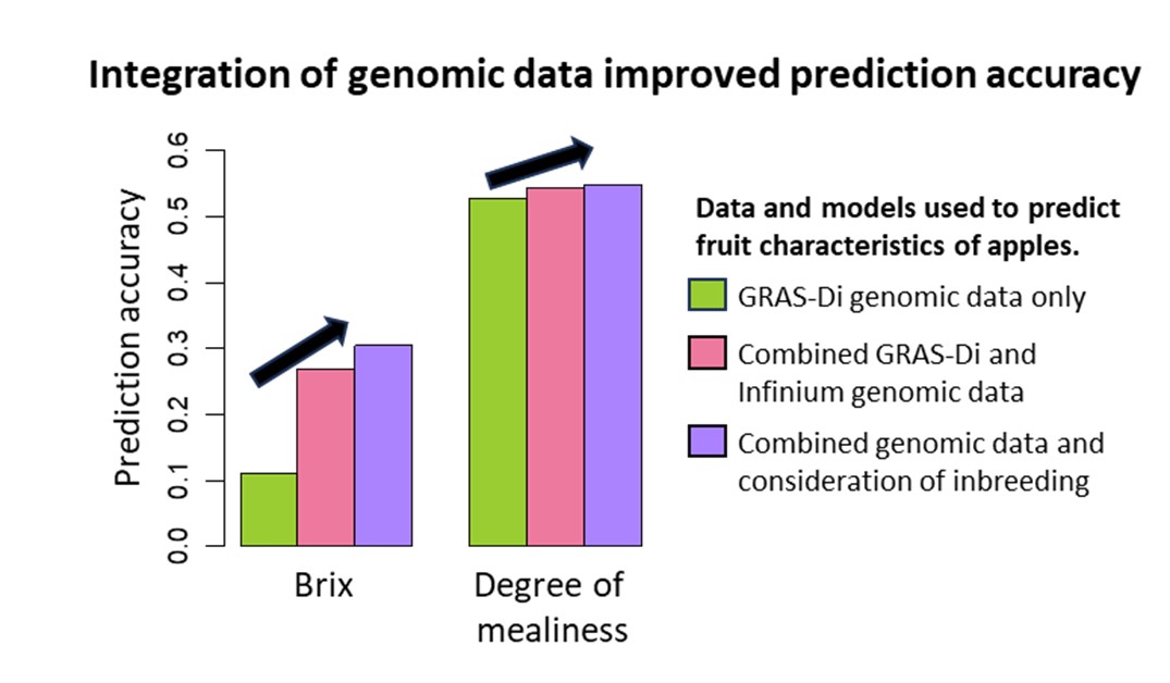 Genomic data integration improves prediction accuracy of apple fruit ...