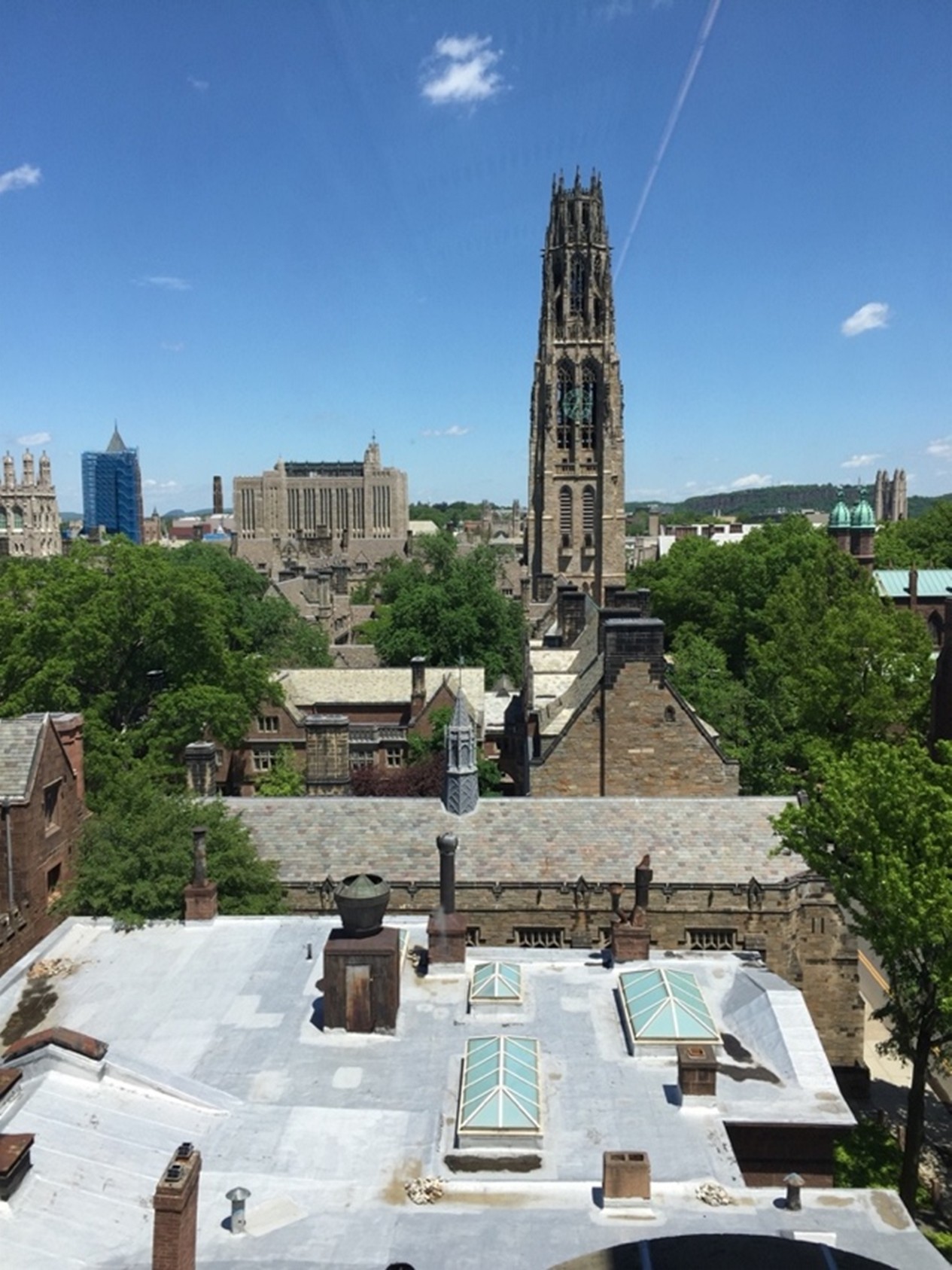 「暴れ馬」カルベンを乗りこなせ！～エネルギー負荷の低い医薬合成で創薬を 千葉大学 大学院薬学研究院 准教授 原田 慎吾 Shingo ...