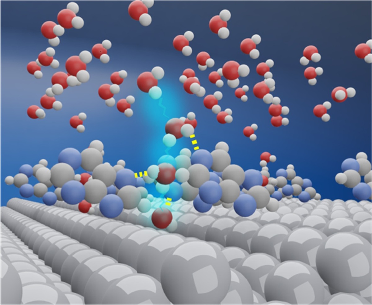 Purine-Modified Platinum Electrodes Could Cut Hydrogen Costs | CHIBADAI ...
